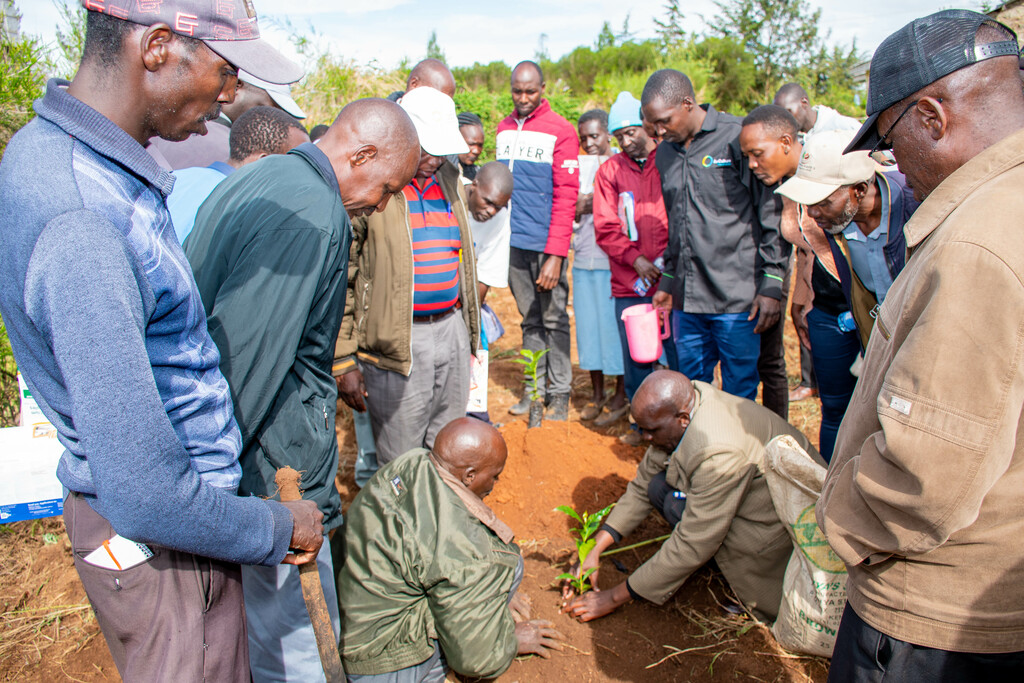 Brief on Farmer Training At Illula, Kapsoya Ward, Ainabkoi Sub County ...